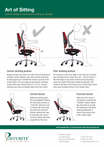 Computer Screen & VDU Safety Posters | Poster Template