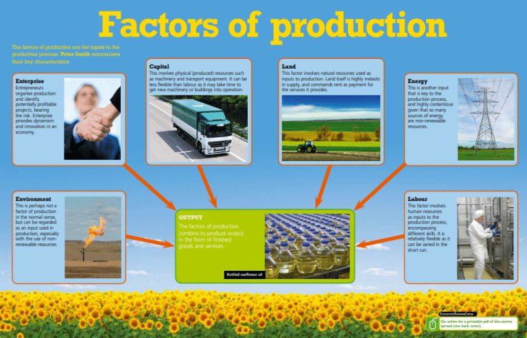 Business Posters | Poster Template