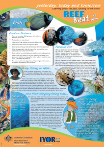 Fishing Posters | Poster Template
