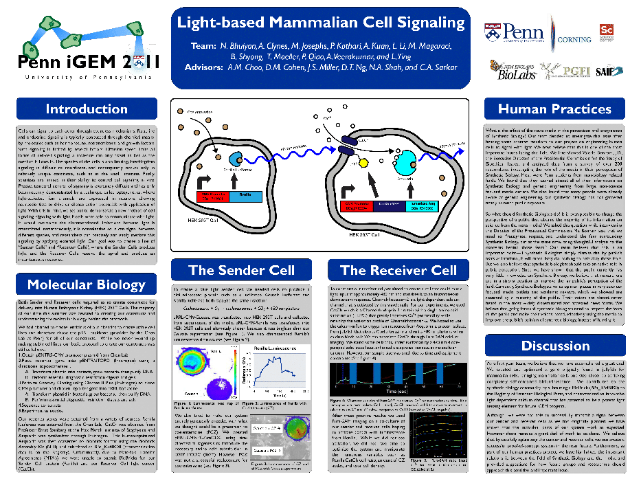 Cell Signaling Poster