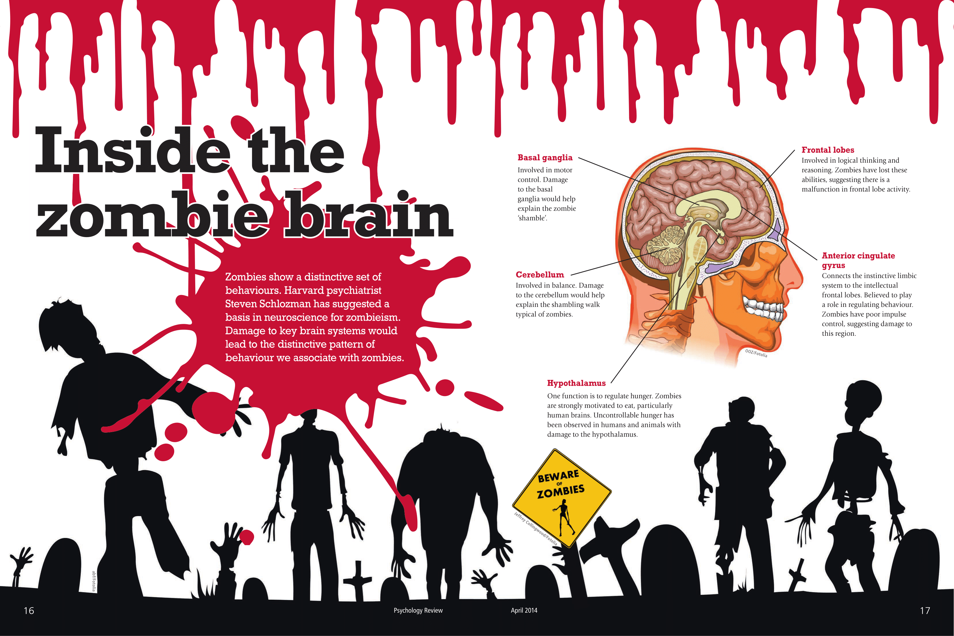 Psychology Posters | Poster Template