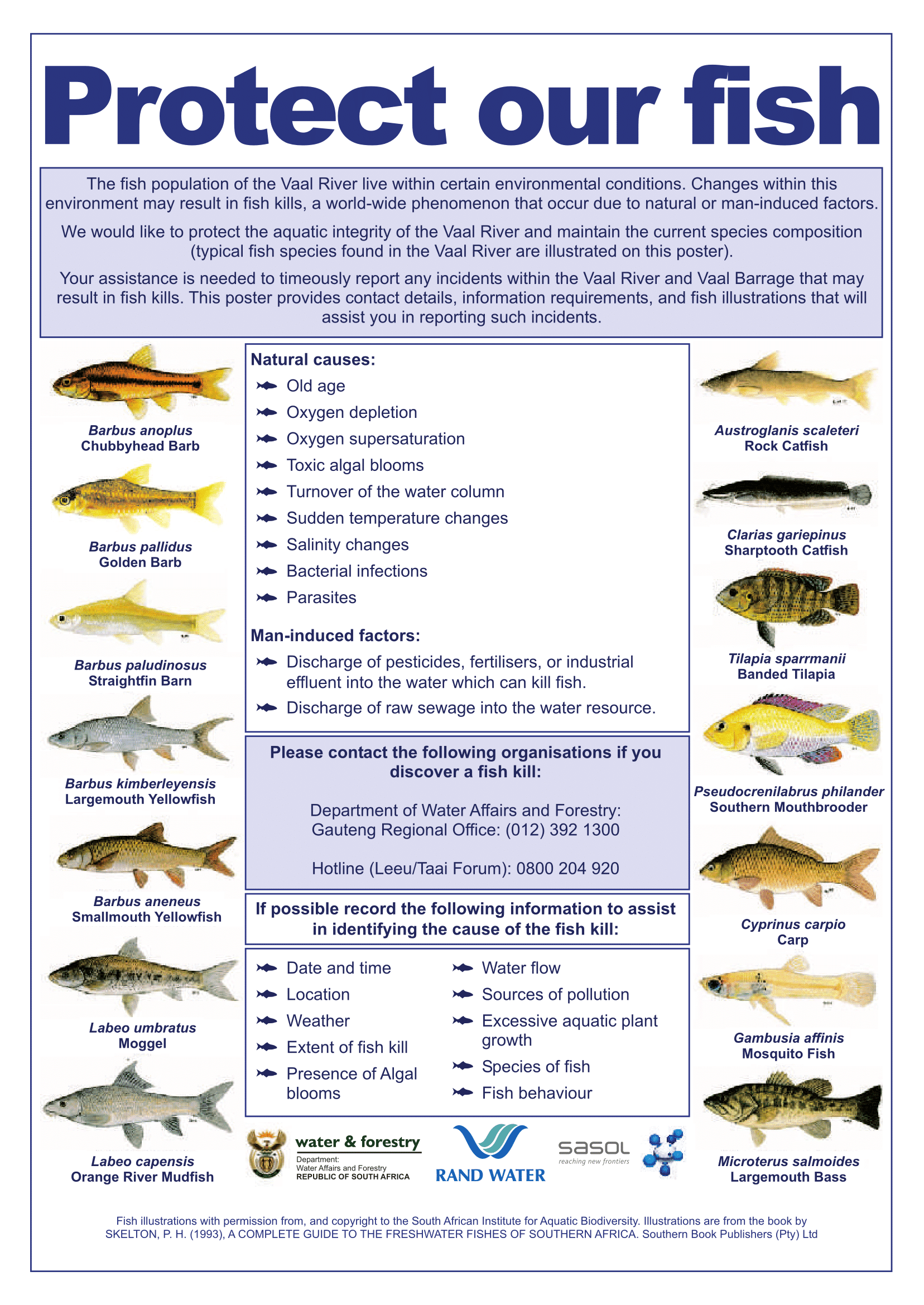 Fishing Posters | Poster Template