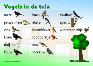 Modern Languages Posters | Poster Template